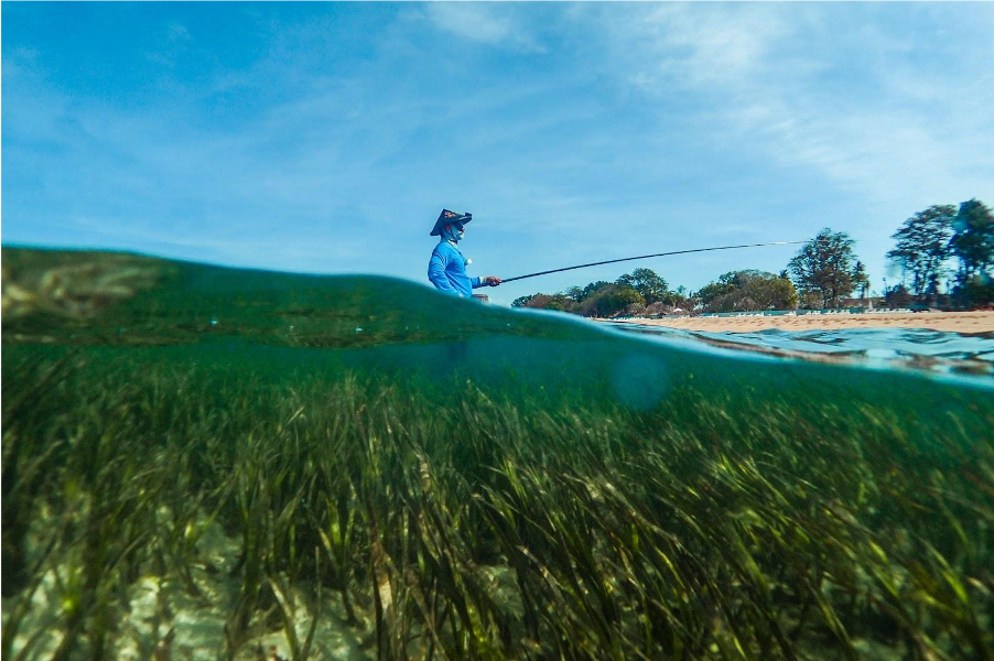 Mapping Subtidal Seagrass Bed (Zostera marina) Habitat Suitability in ...